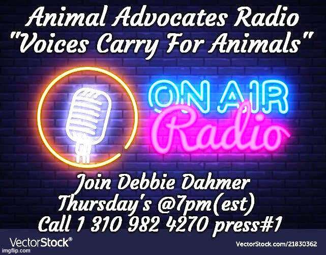 Animal Advocates Radio “Voices Carry For Animals #436″ – Pitty Rescue ...