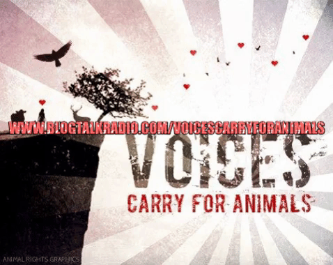 TAKE ACTION FOR ANIMALS! – VOICES CARRY FOR ANIMALS
