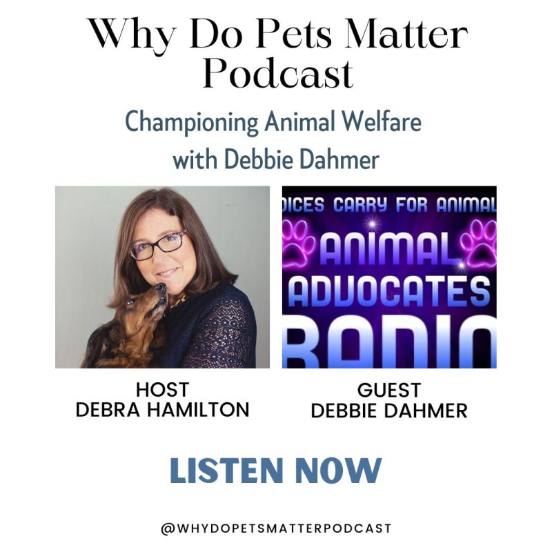 Championing Animal Welfare with Debbie Dahmer – VOICES CARRY FOR ...