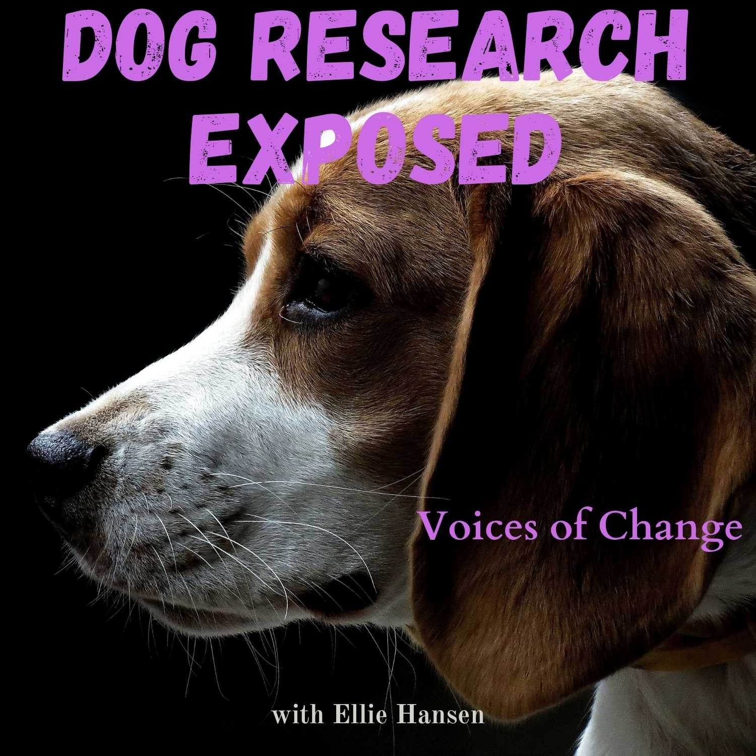 Animal Advocates Radio “Voices Carry For Animals #458″ – Dog Research ...